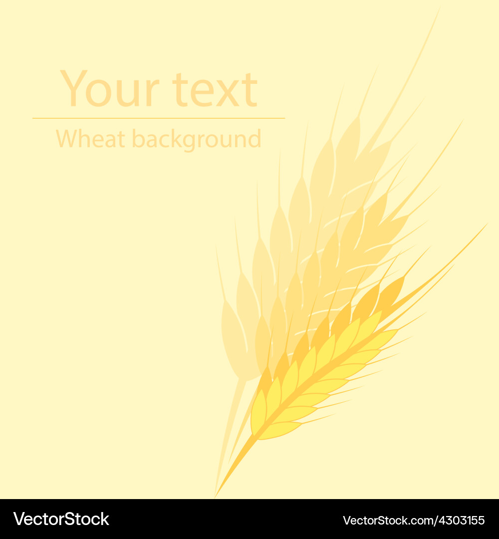 Wheat background Royalty Free Vector Image - VectorStock