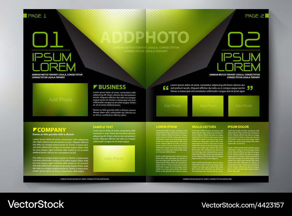 Brochure design two pages a4 template Royalty Free Vector