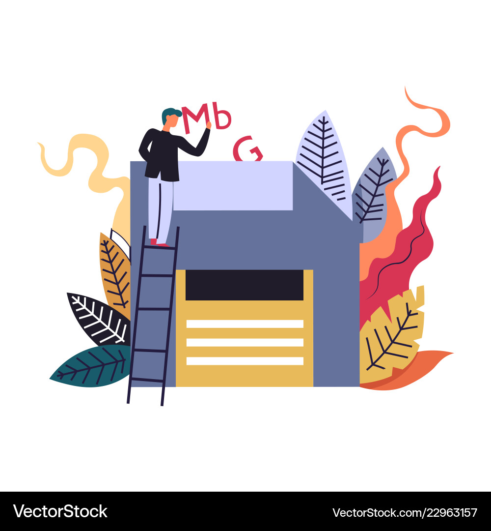 Cd disc with mb and memory loaded information Vector Image