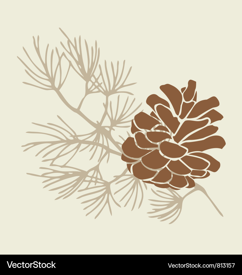 Pinecone Vector Images (over 6,900)