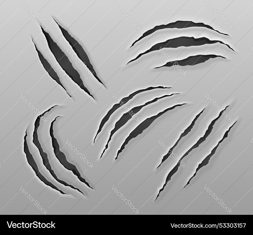 Tiger claw scratch on paper bear paw mark Vector Image