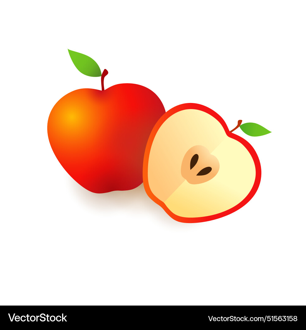 Apple 3 d clip art Royalty Free Vector Image - VectorStock