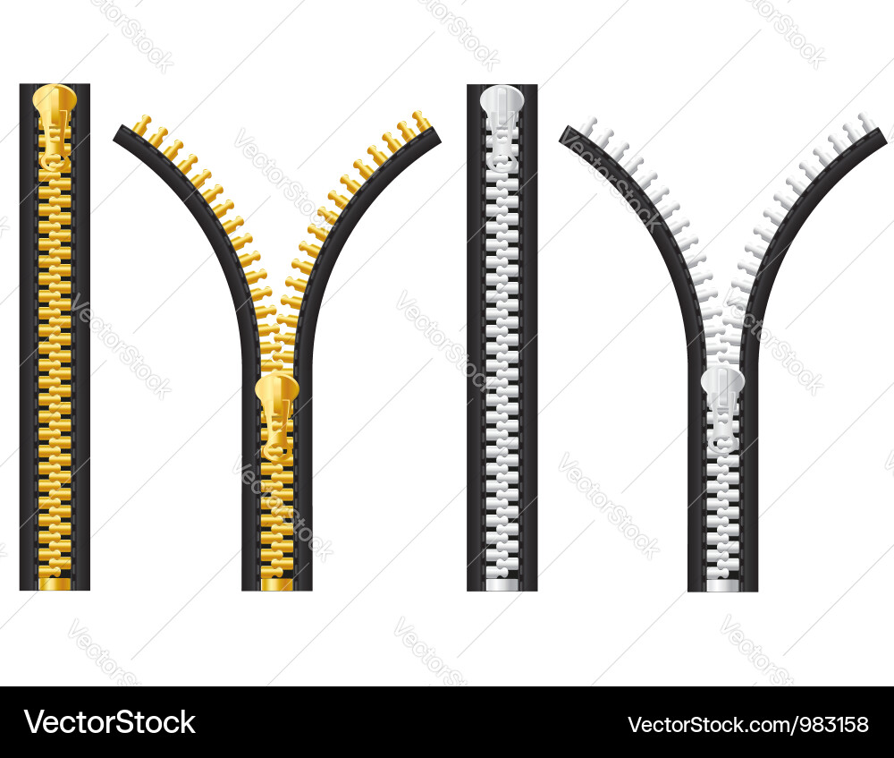 Close-Up Zipper Detail Royalty Free Vector Image