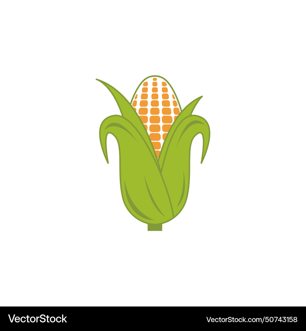 Corn Royalty Free Vector Image - VectorStock