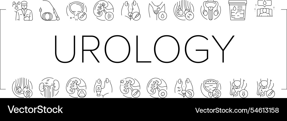 Urology prostate urinary kidney icons set Vector Image