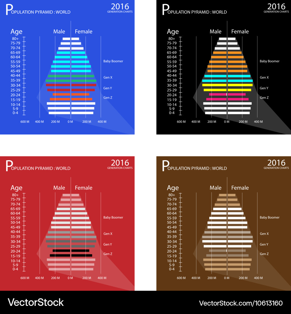 Population pyramids chart with 4 age generation Vector Image
