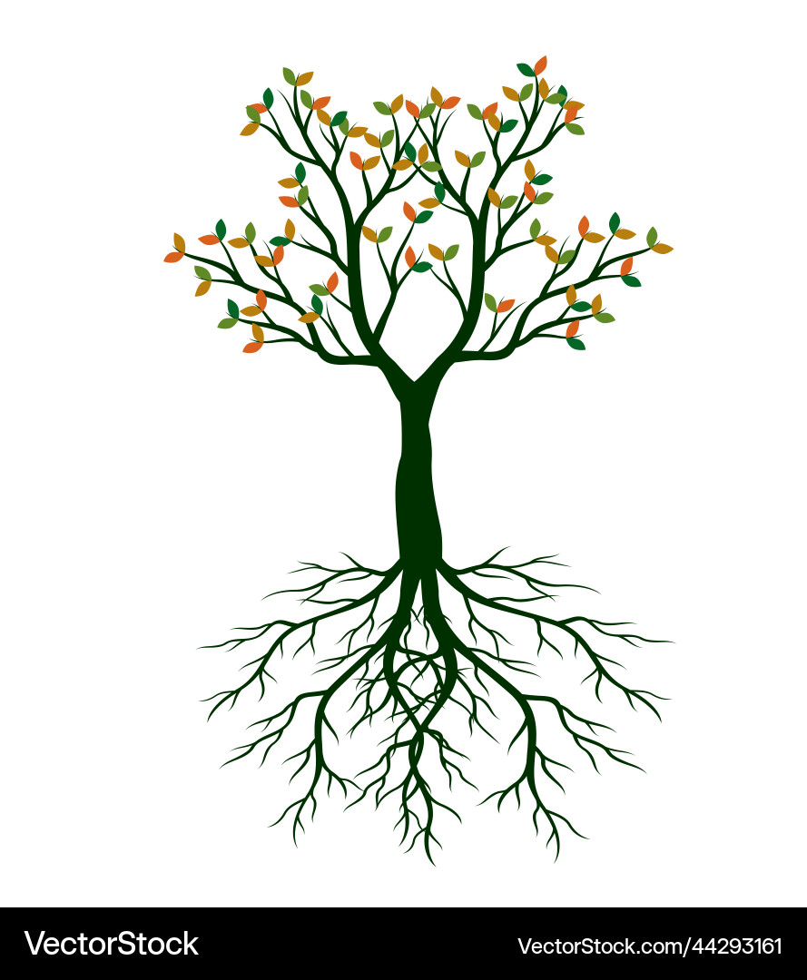 Autumn tree with leaves and roots outline Vector Image