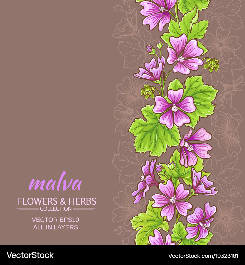 Malva background Royalty Free Vector Image - VectorStock