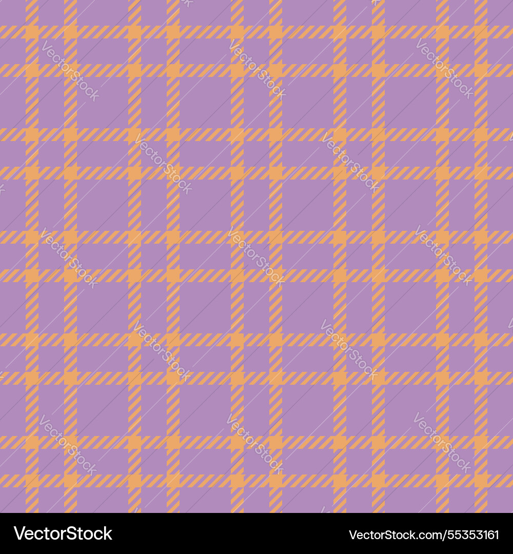 Mixed textile plaid texture african fabric Vector Image