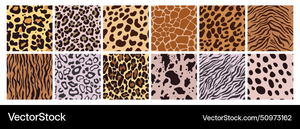 Animal patterns leopard and zebra cute prints Vector Image
