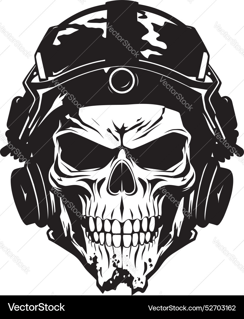 Skull assault squadron military iconography Vector Image