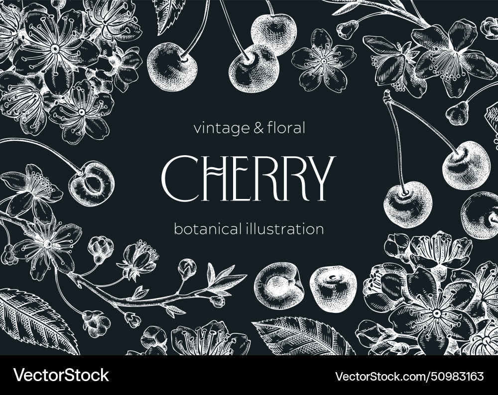 Berry fruit background cherry berries leaves Vector Image