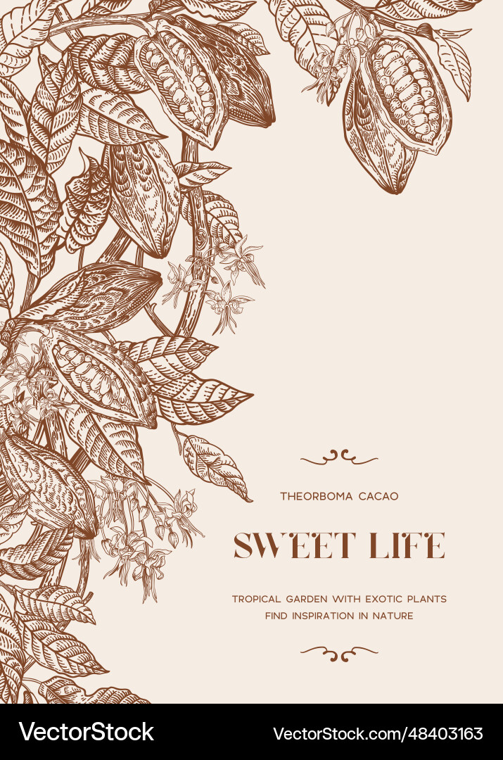 Border with cocoa plant Royalty Free Vector Image