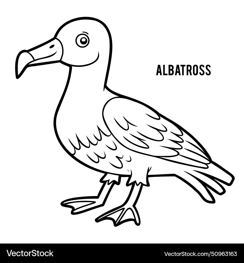 Coloring book for kids albatross Royalty Free Vector Image