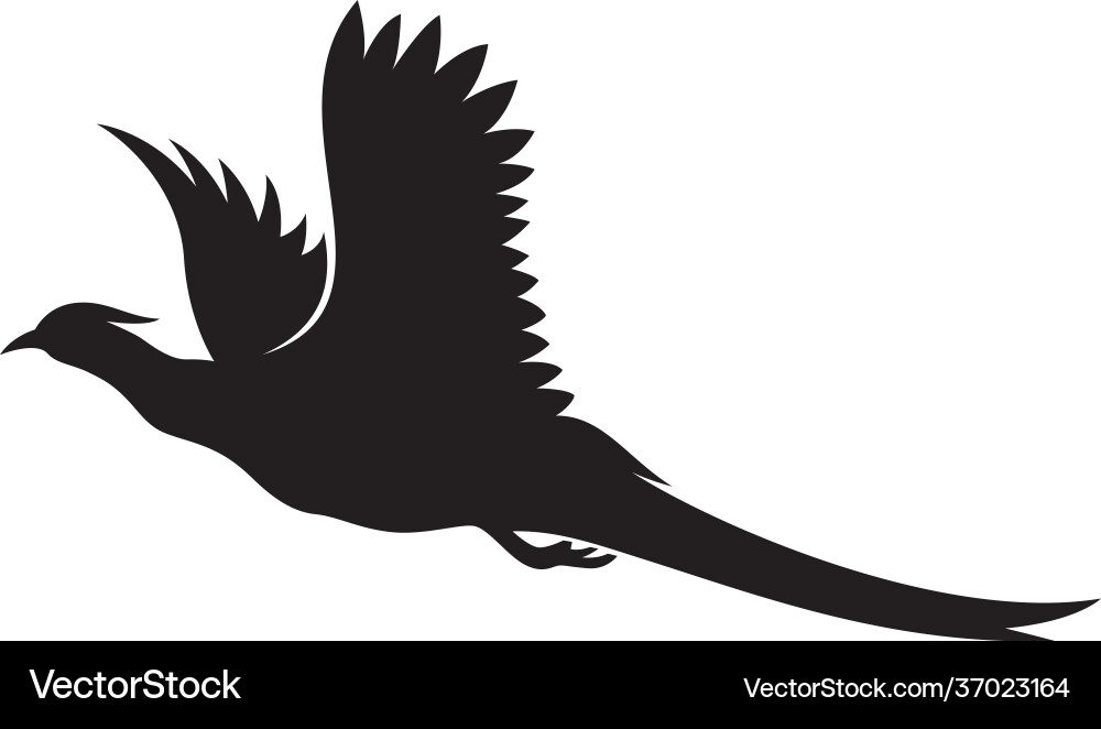Pheasant hunting template Royalty Free Vector Image