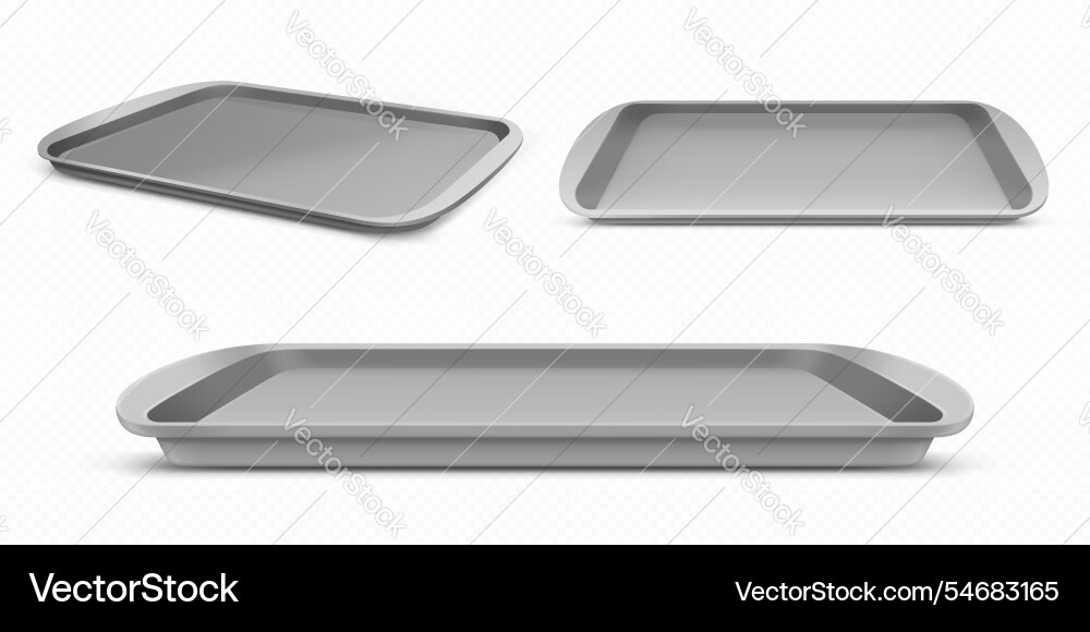 Plastic lunch tray from various angles of view Vector Image
