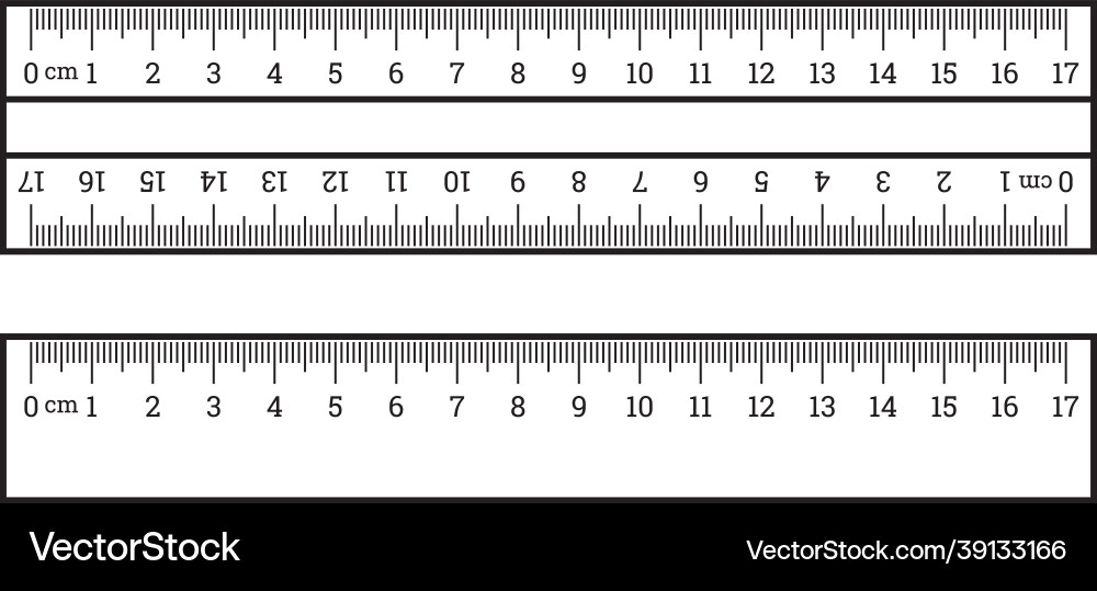 Rullers Royalty Free Vector Image - VectorStock