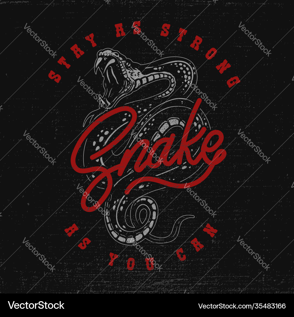 Snake cobra python viper in vintage monochrome Vector Image