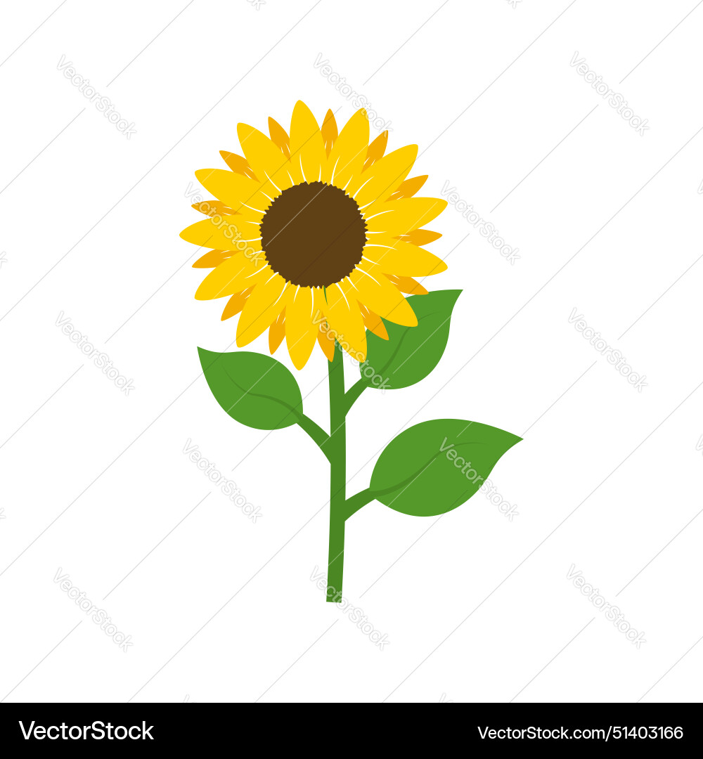 Sunflower icon in flat style flora on isolated Vector Image