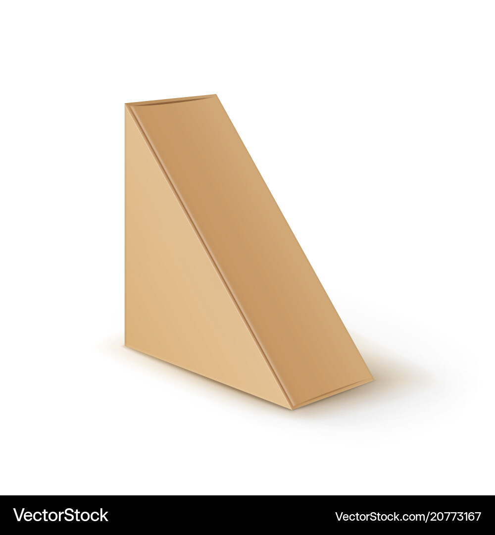 Brown blank cardboard triangle take away Vector Image