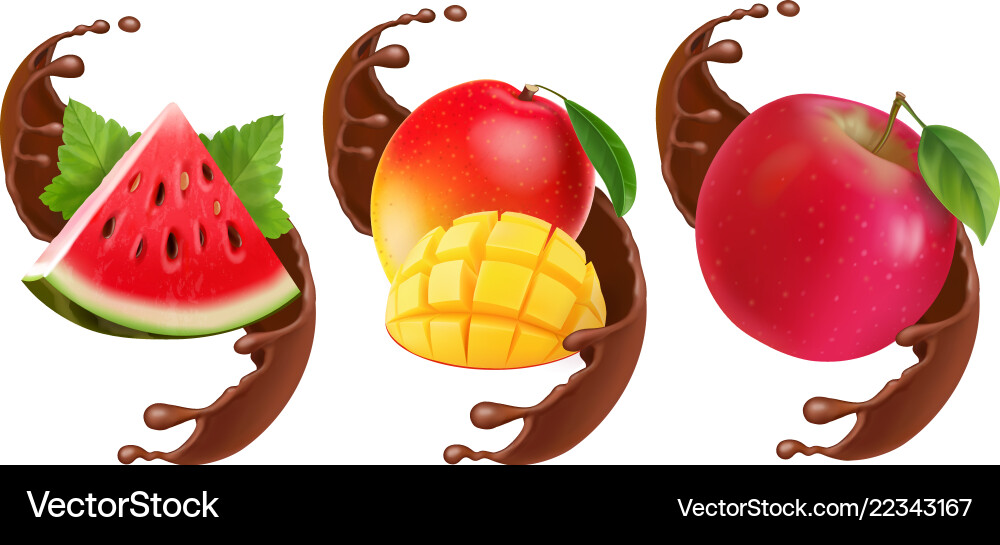 Fruits in chocolate splash Royalty Free Vector Image