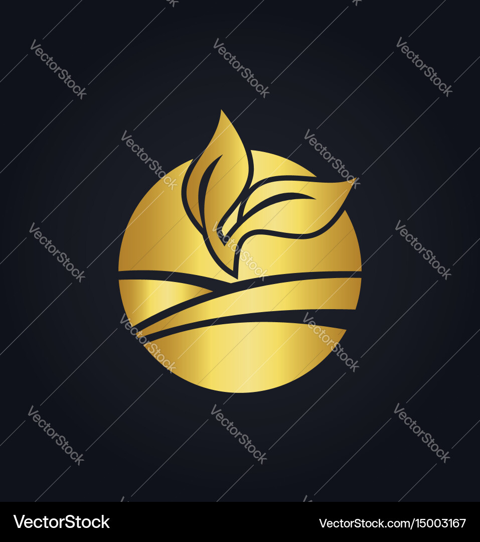 Golden Leaf Seed Logo Royalty Free Vector Image