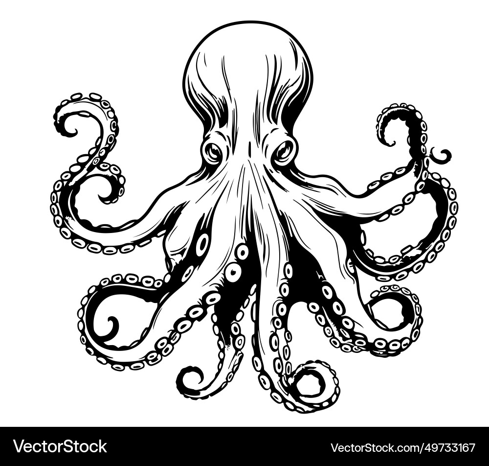 Octopus hand drawing vintage engraving Royalty Free Vector