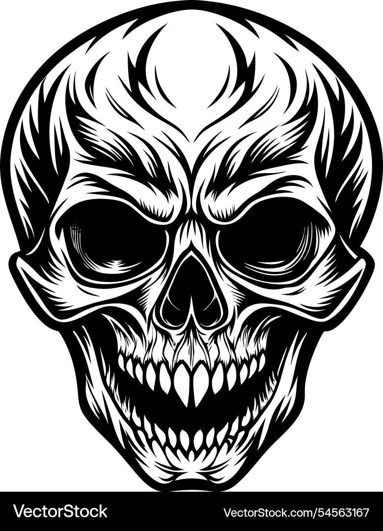 Skull Royalty Free Vector Image - VectorStock