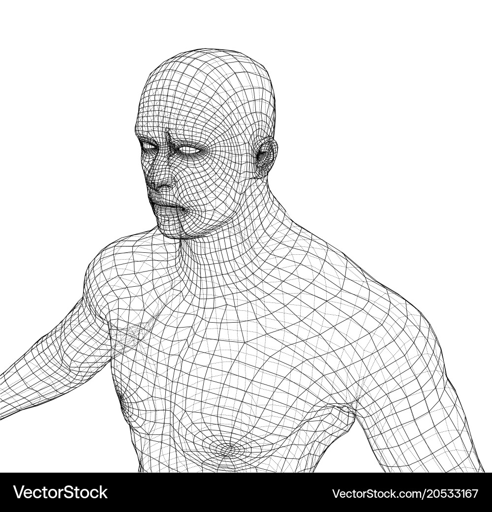 Wire frame athlete body on white background Vector Image