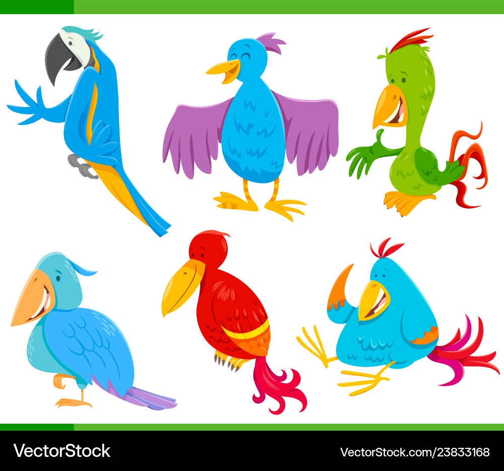 Colorful birds cartoon characters set Royalty Free Vector