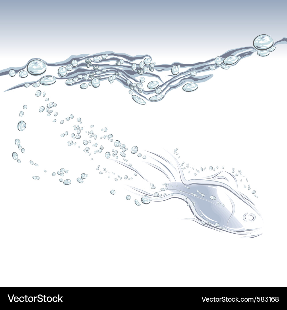 Water fish drops Royalty Free Vector Image - VectorStock