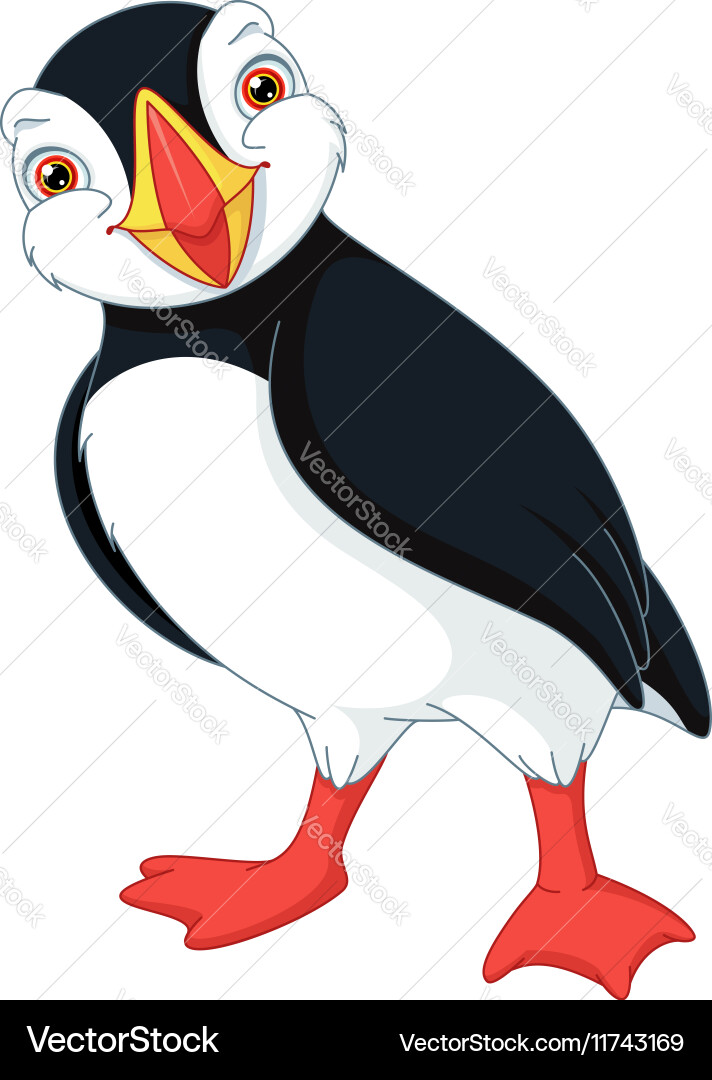 Atlantic puffin Royalty Free Vector Image - VectorStock