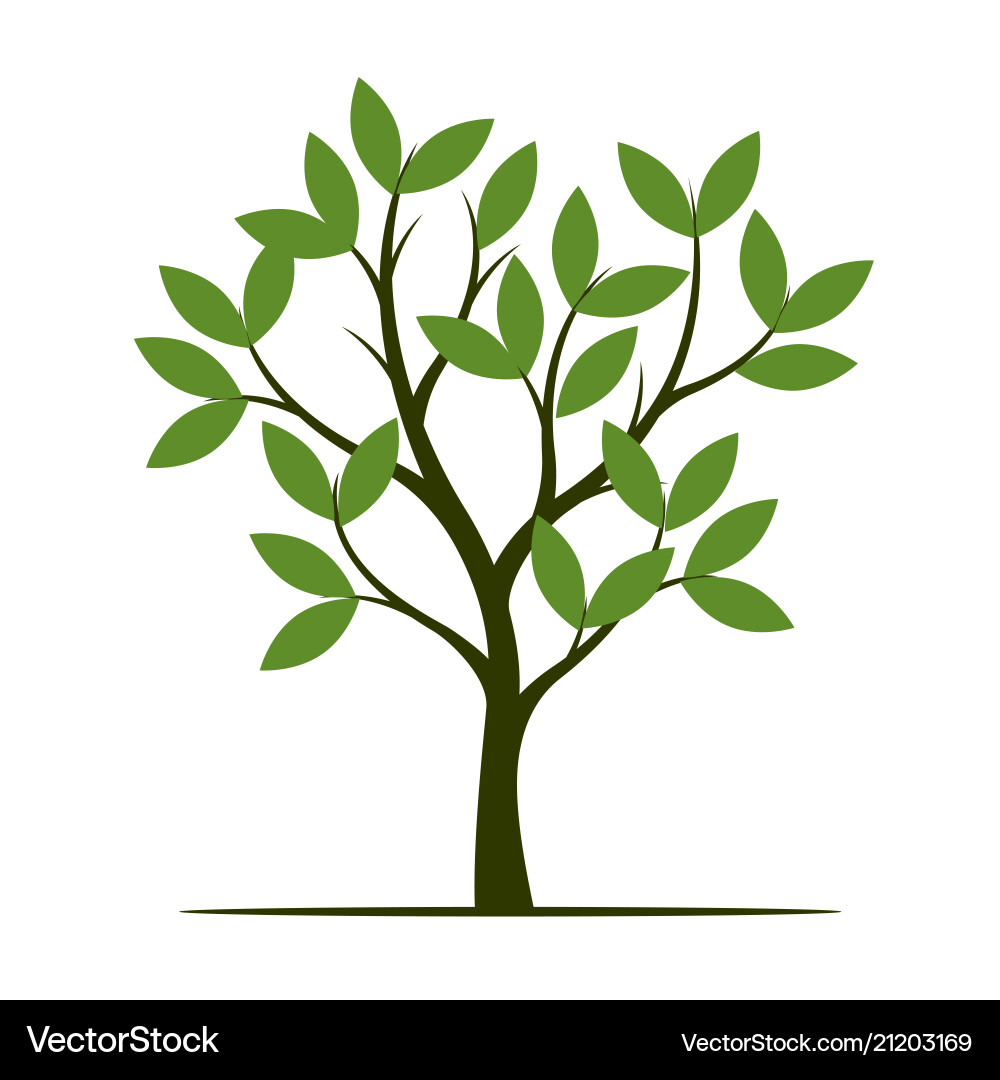 Green spring tree Royalty Free Vector Image - VectorStock