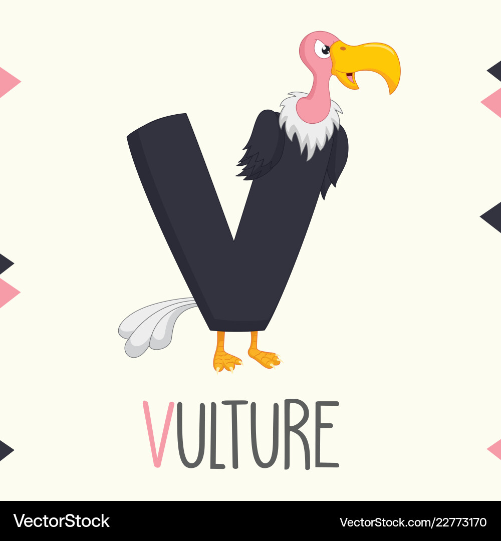 Alphabet letter v and vulture Royalty Free Vector Image