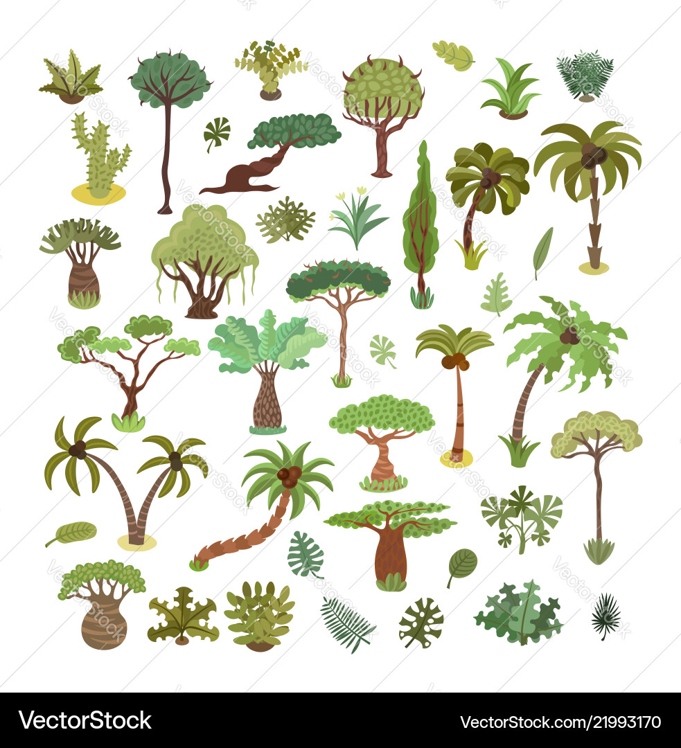 Collection of tropical trees palms and other Vector Image