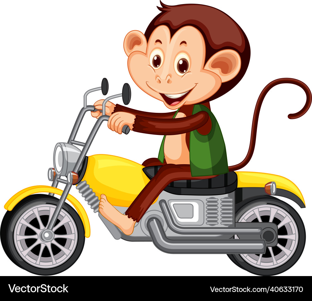 Little monkey riding motorcycle on white Vector Image