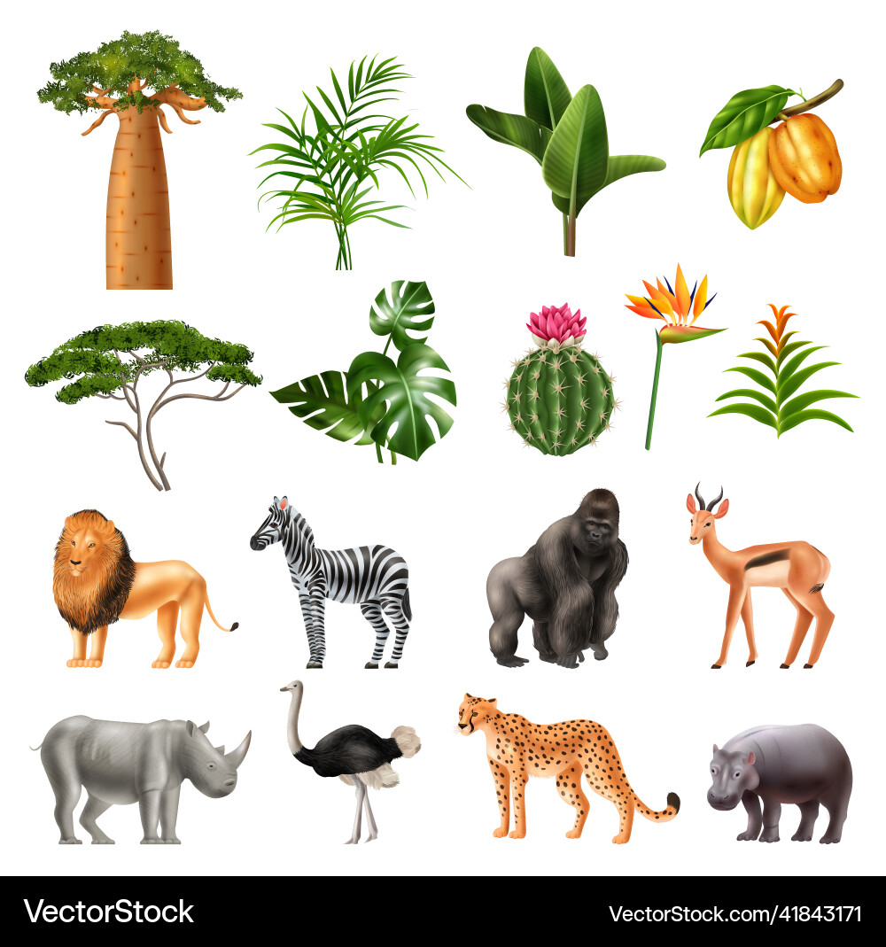 African nature realistic icons Royalty Free Vector Image