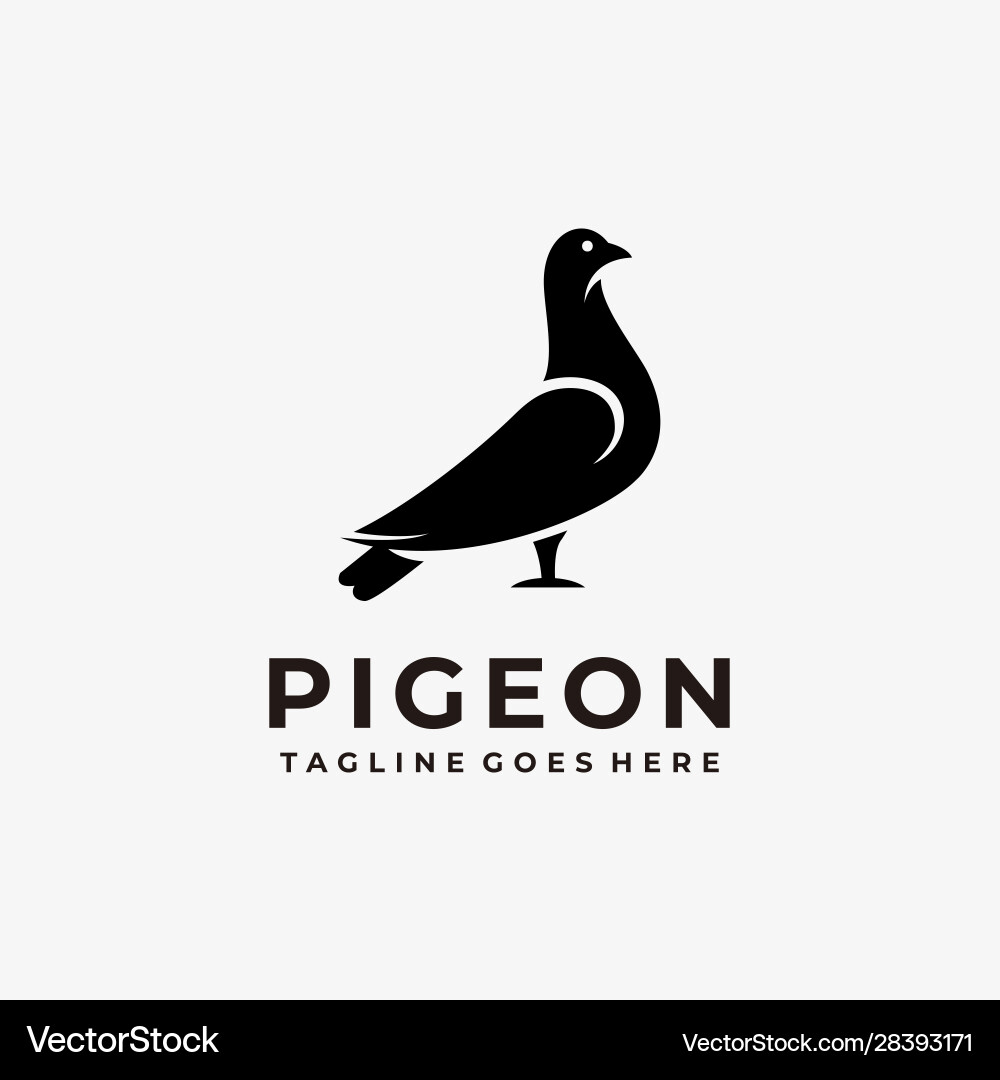 Pigeon template Royalty Free Vector Image - VectorStock