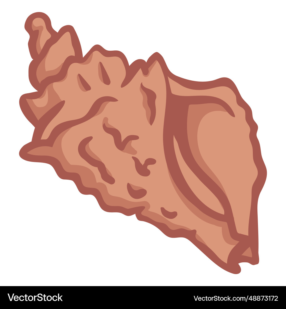 Hand drawn conch Royalty Free Vector Image - VectorStock