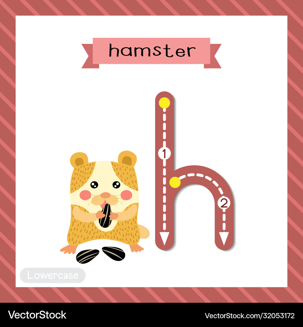 Letter h lowercase tracing hamster eating Vector Image
