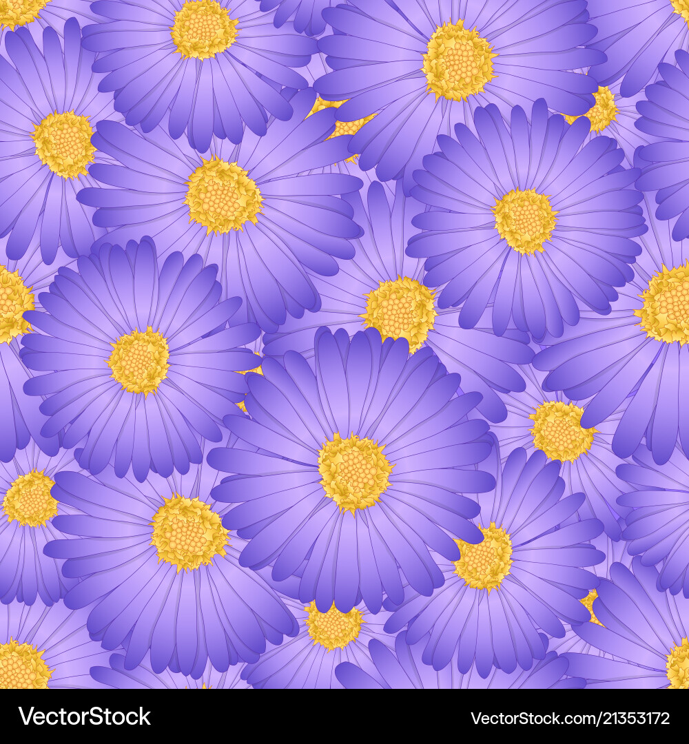 Purple aster daisy flower seamless background Vector Image