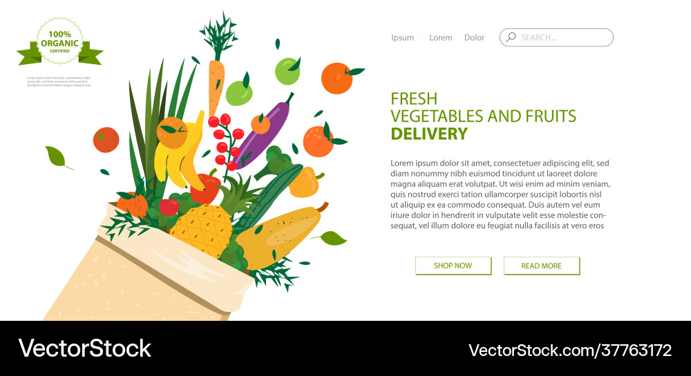 Fruit Fly Logo Vector Images (over 620)