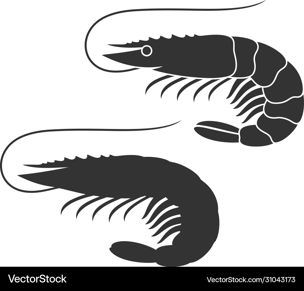 Shrimp Royalty Free Vector Image - VectorStock