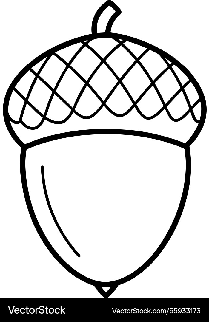 Simple acorn outline Royalty Free Vector Image