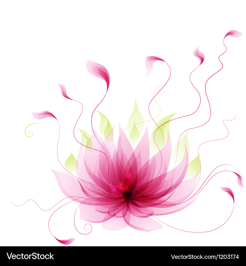 Abstract pink lotus flower Royalty Free Vector Image