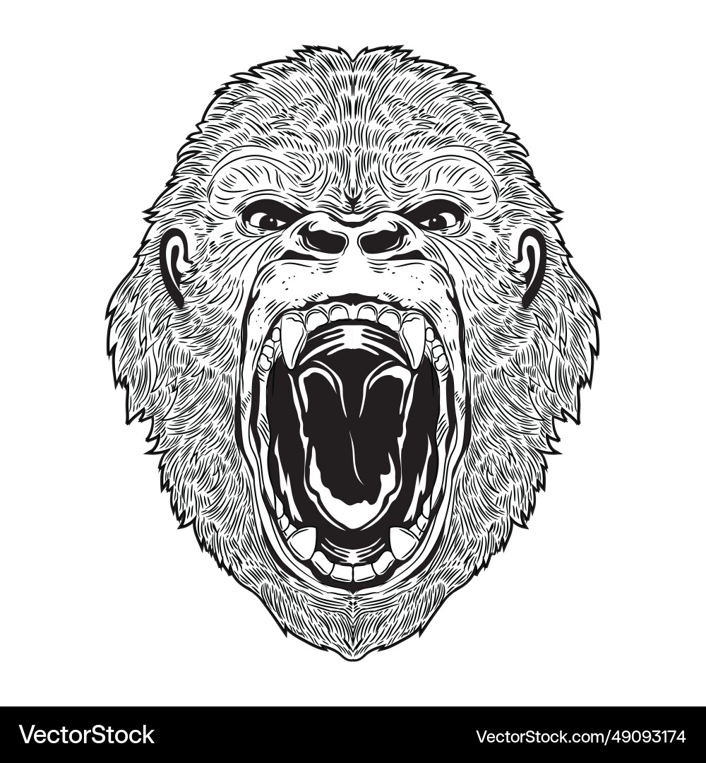 Angry gorilla Royalty Free Vector Image - VectorStock