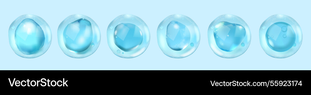 Water cell 3d liquid round shape vitamin drop Vector Image