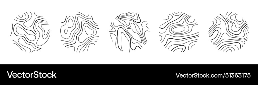 Circular wood rings or topographic map lines Vector Image