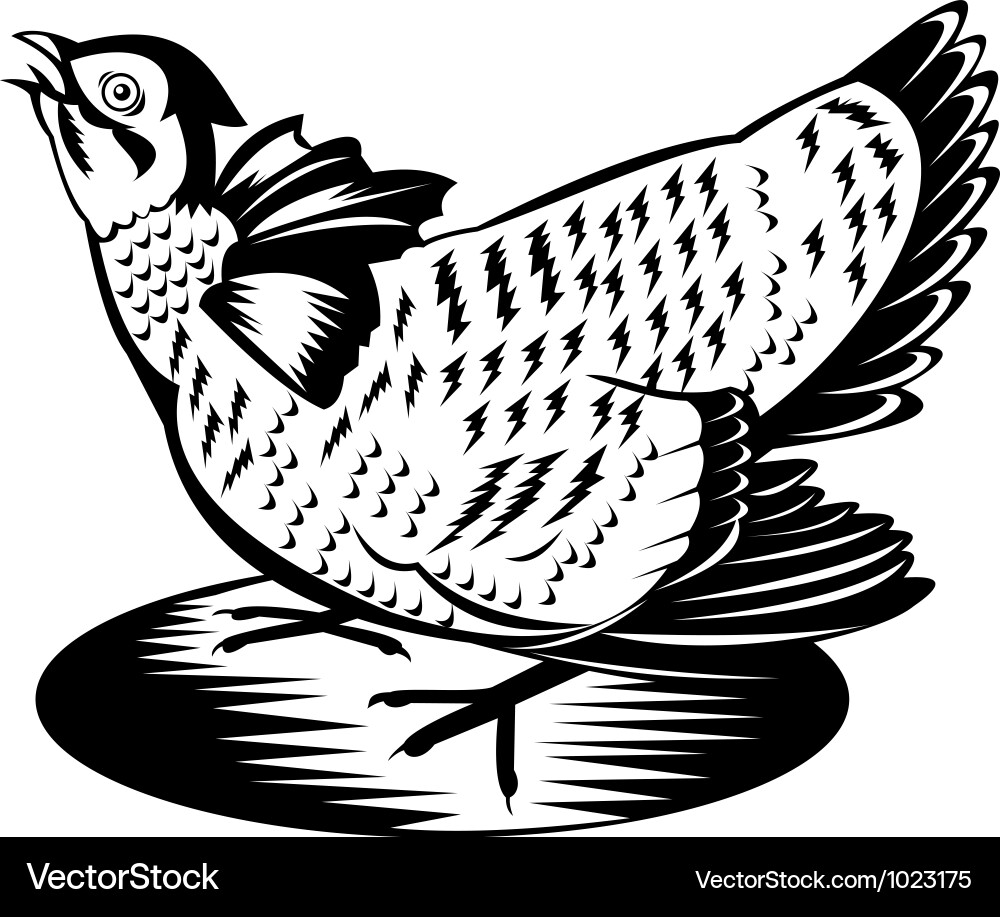Prairie chicken hen retro Royalty Free Vector Image