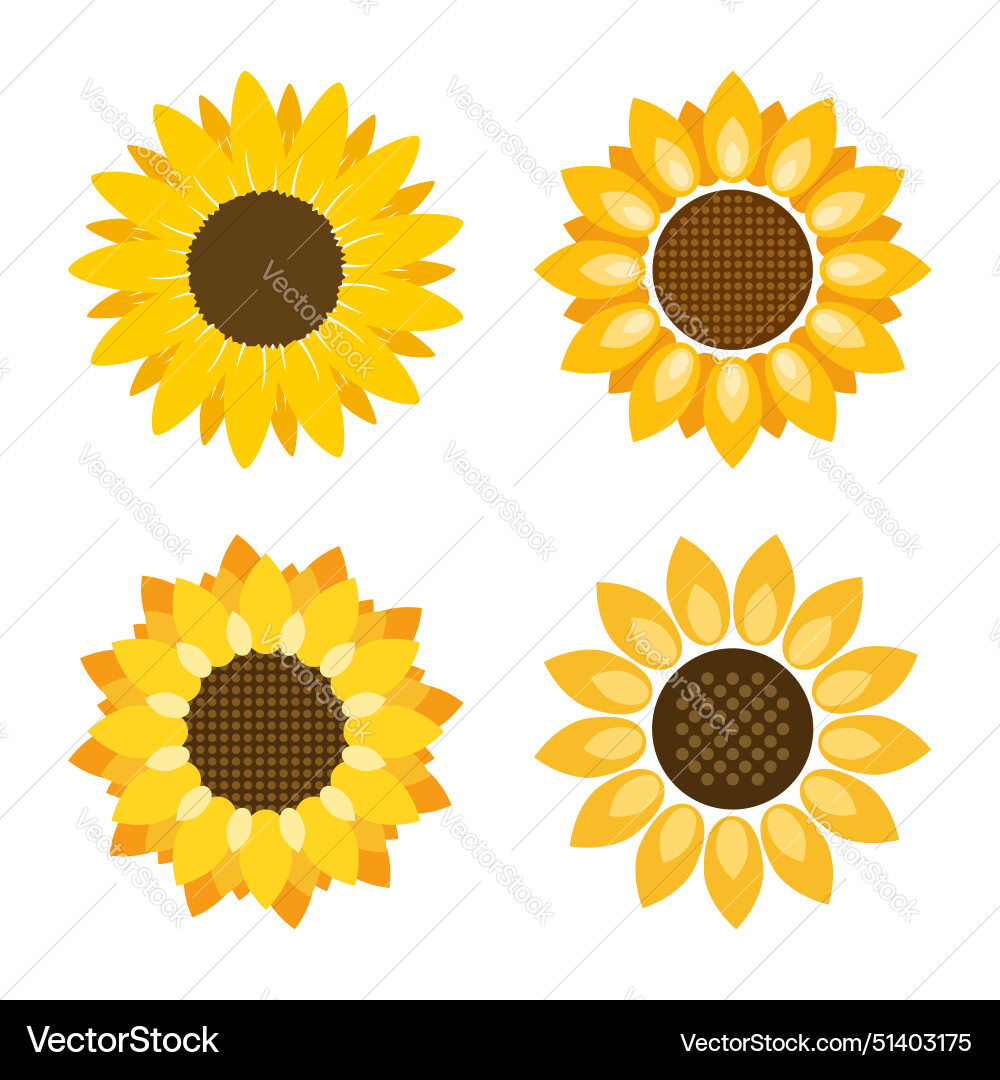 Sunflower icon in flat style flora on isolated Vector Image